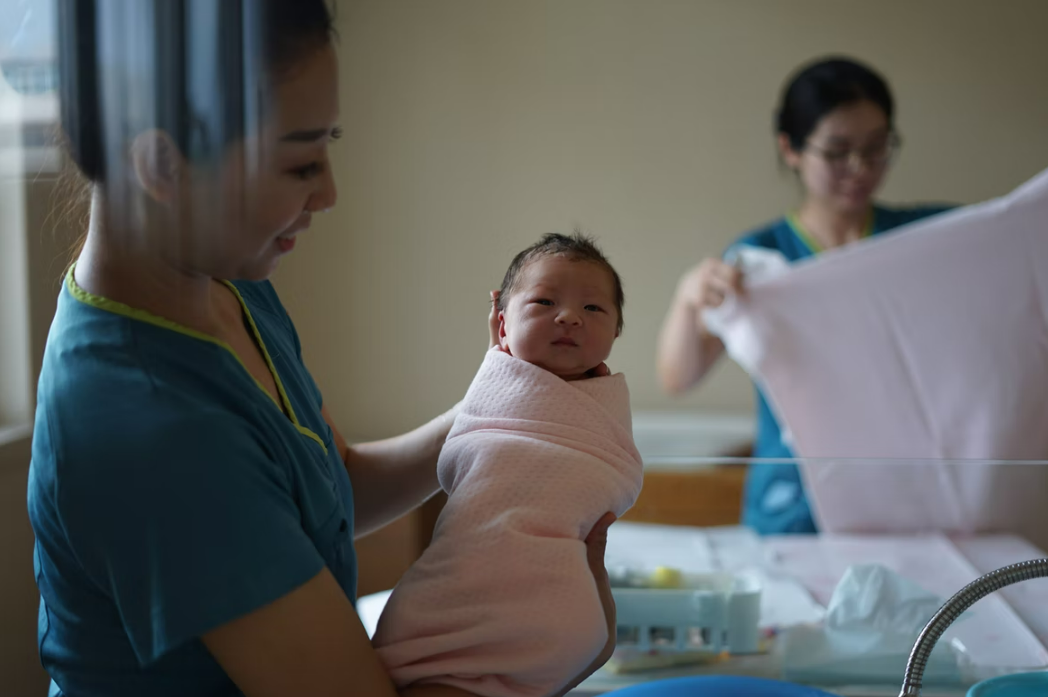 OBIX P.O.E.T.: All courses | OBIX P.O.E.T.